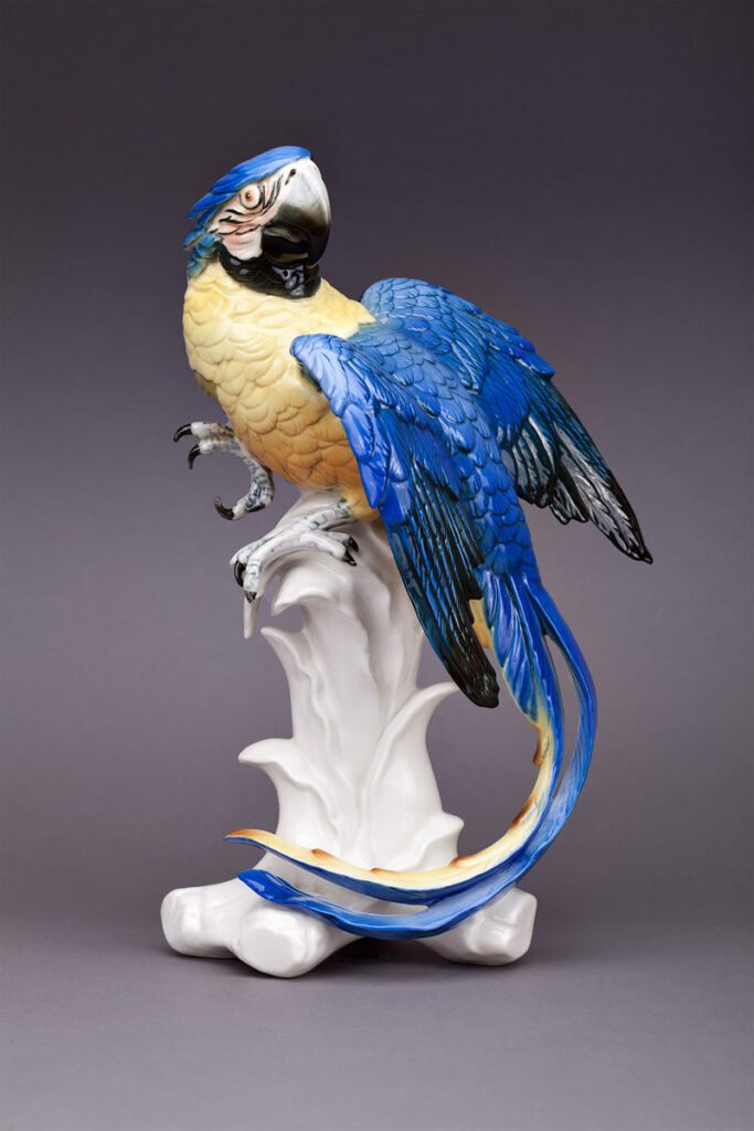 Papoušek Ara - EinsZwei Gallery